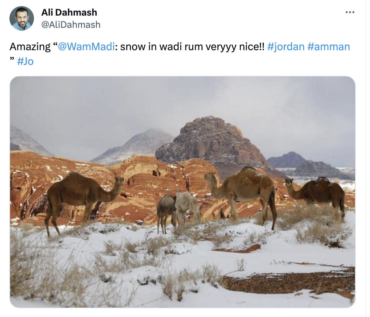 Exploring Jordan in February: a Guide to Weather & What to do | Step ...
